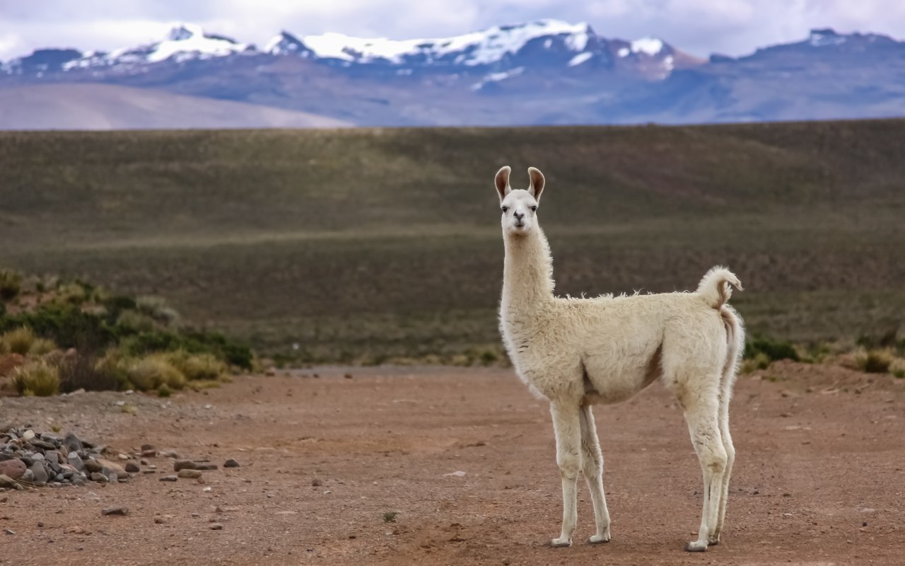 Lama Fâché ? | ZionKabbalah.com